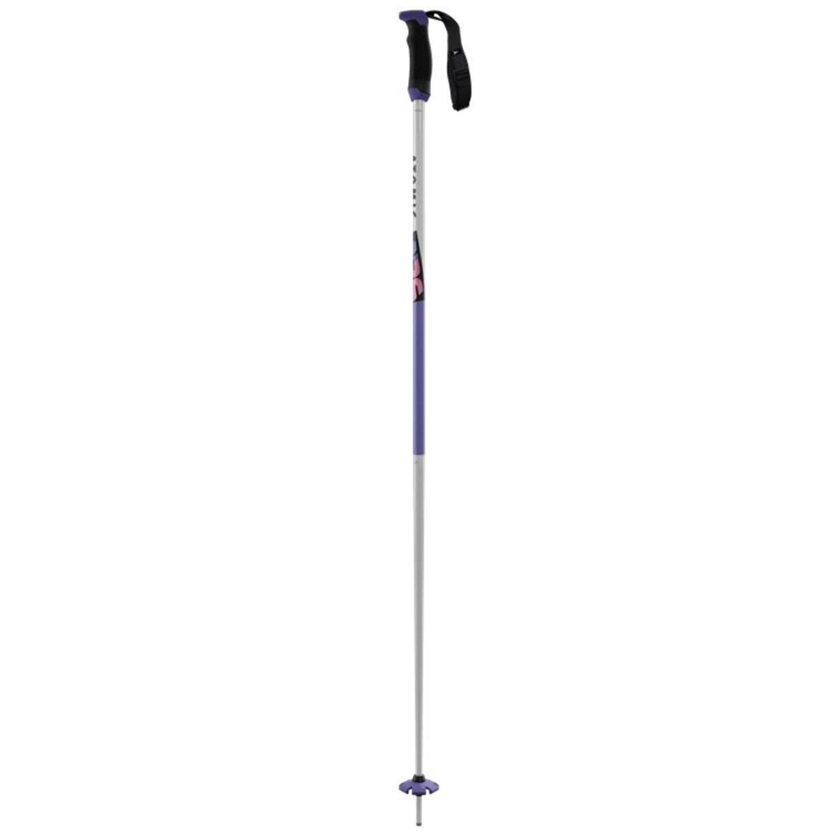 Atomic Unisex AMT SQS Rretro Arc Poles | WinterMen